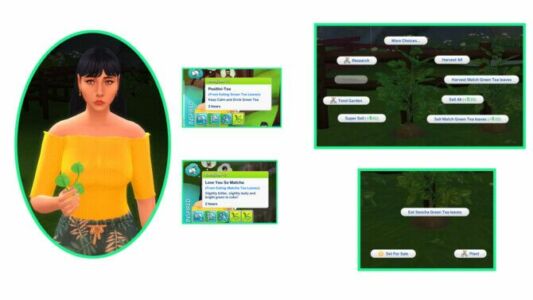 Harvestable Green TEA Leaves At Icemunmun Sims 4 CC Download