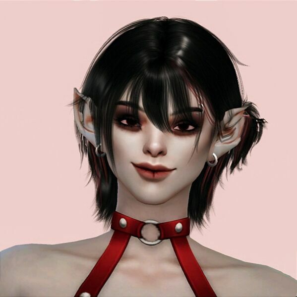 The | Ibbotson | Female By Hedennychen Sims 4 CC Download