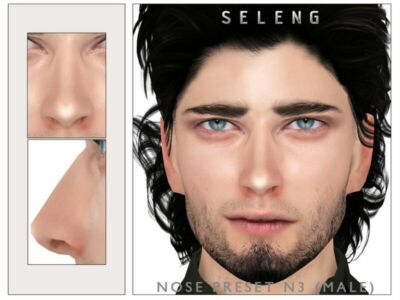 Nose Preset N3 (Male) By Seleng Sims 4 CC Download