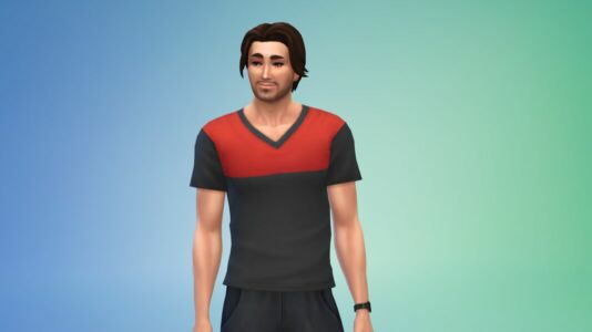 Terry Anderson By VTK Sims 4 CC Download