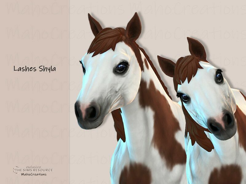 Horse Eyelashes Shyla Sims 4 CC Download