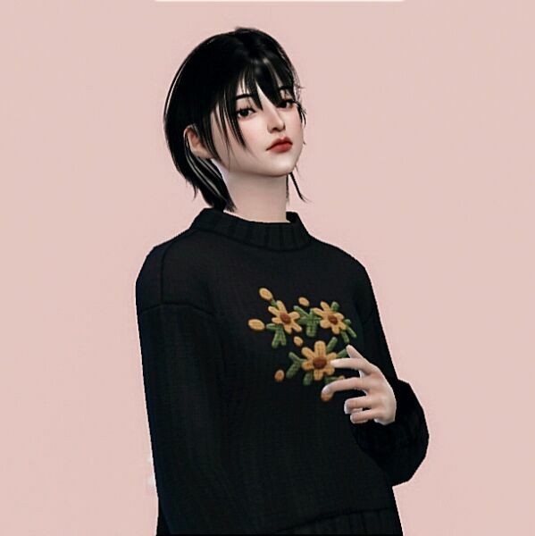 The | Profile Sims |Female By Hedennychen Sims 4 CC Download