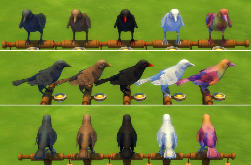 More Crows by Xetto Sims 4 CC Download
